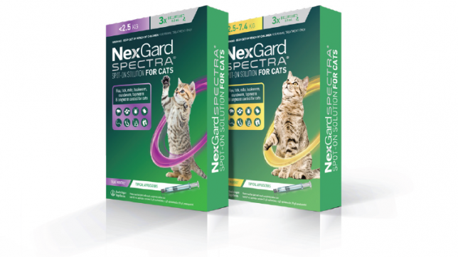 NEXGARD SPECTRA for Cats